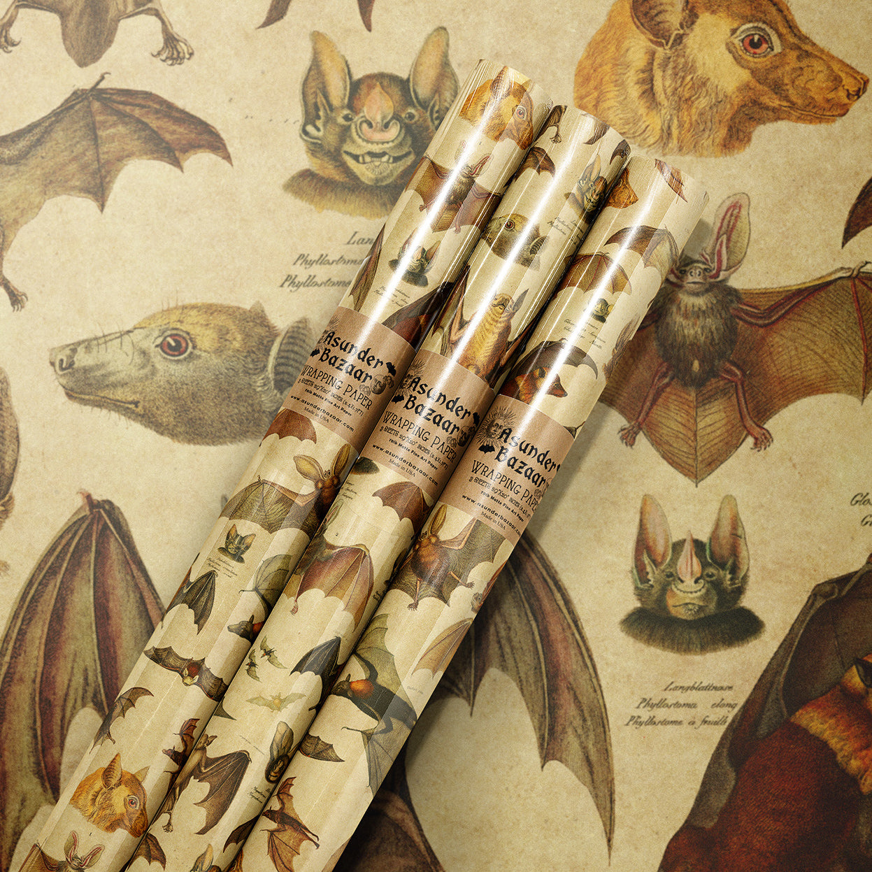 Vintage Bats Wrapping Paper 3 Sheet Roll – Asunder Bazaar